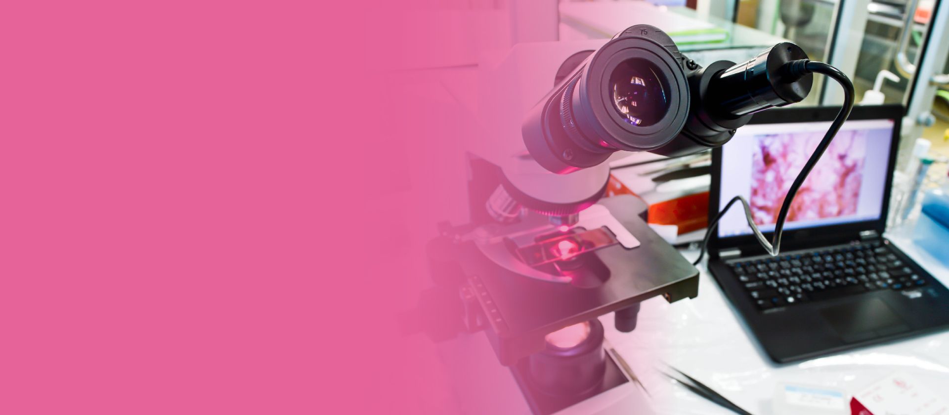 Protecting the Integrity of Scientific Images - Image Integrity | Straive